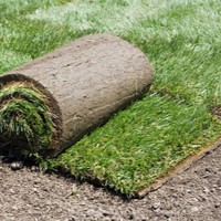 Lawn & Edging | Soilworx