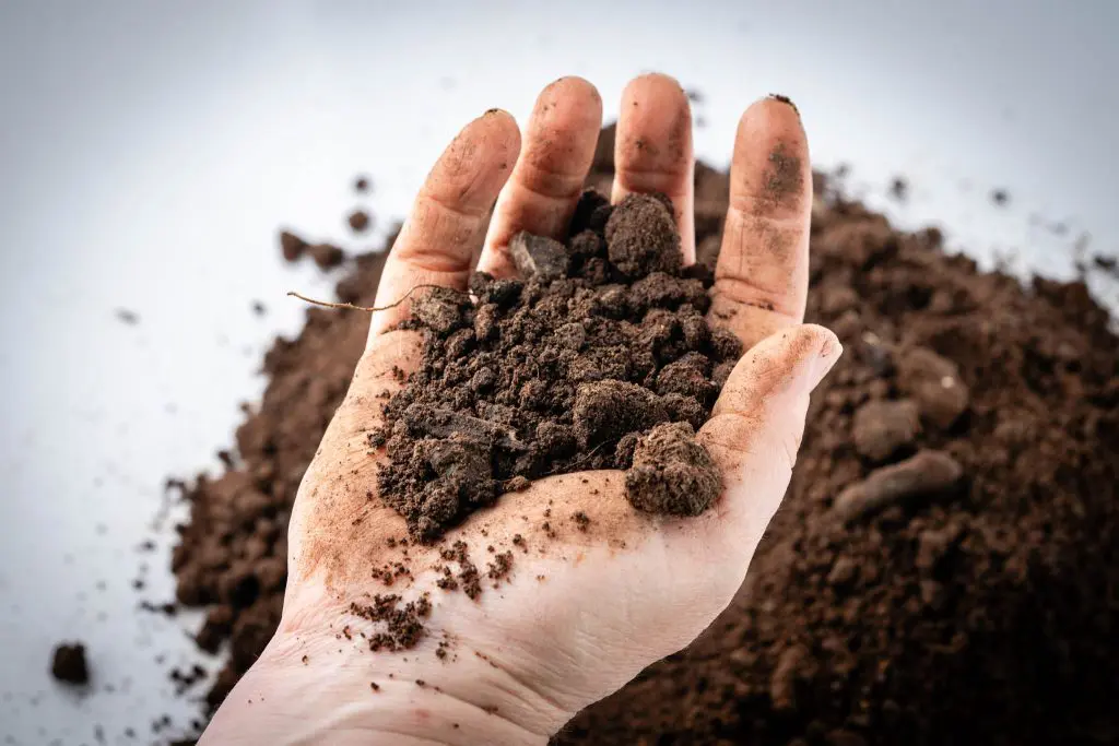 Product Specification | Soilworx