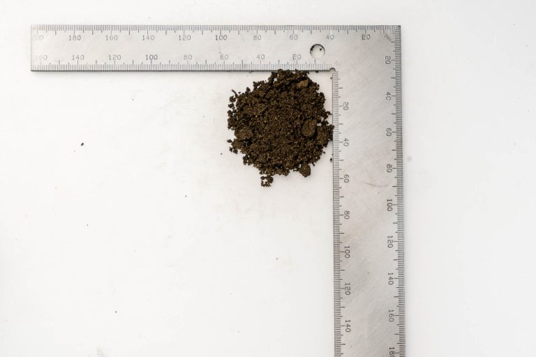 Sandy Loam Soil - Soilworx