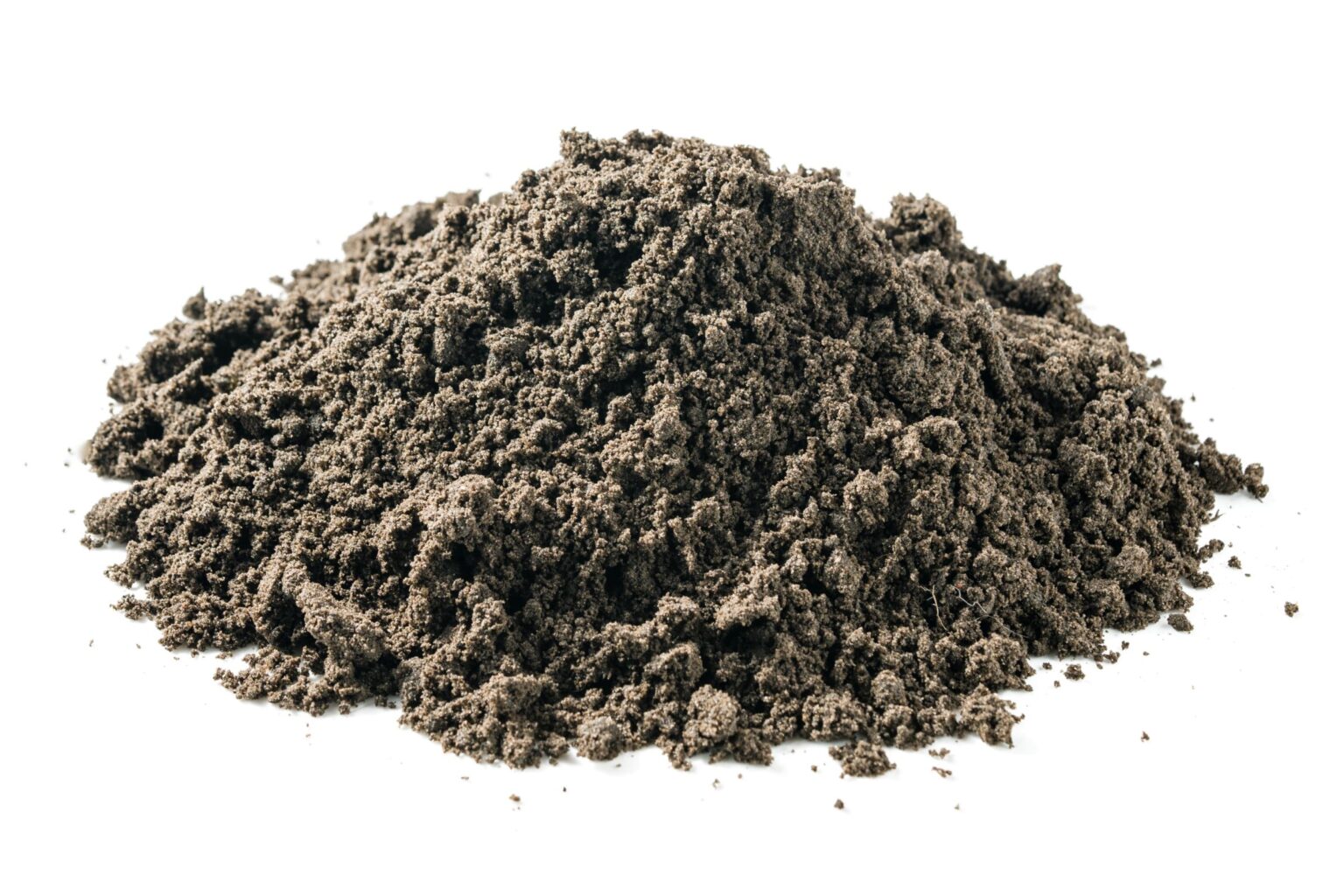 Sandy Loam Soil - Soilworx