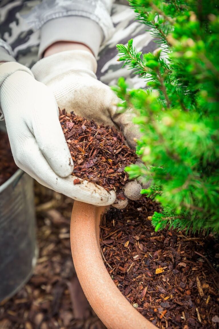 What Is Mulch Made Of? Exploring Different Mulch Types - Soilworx