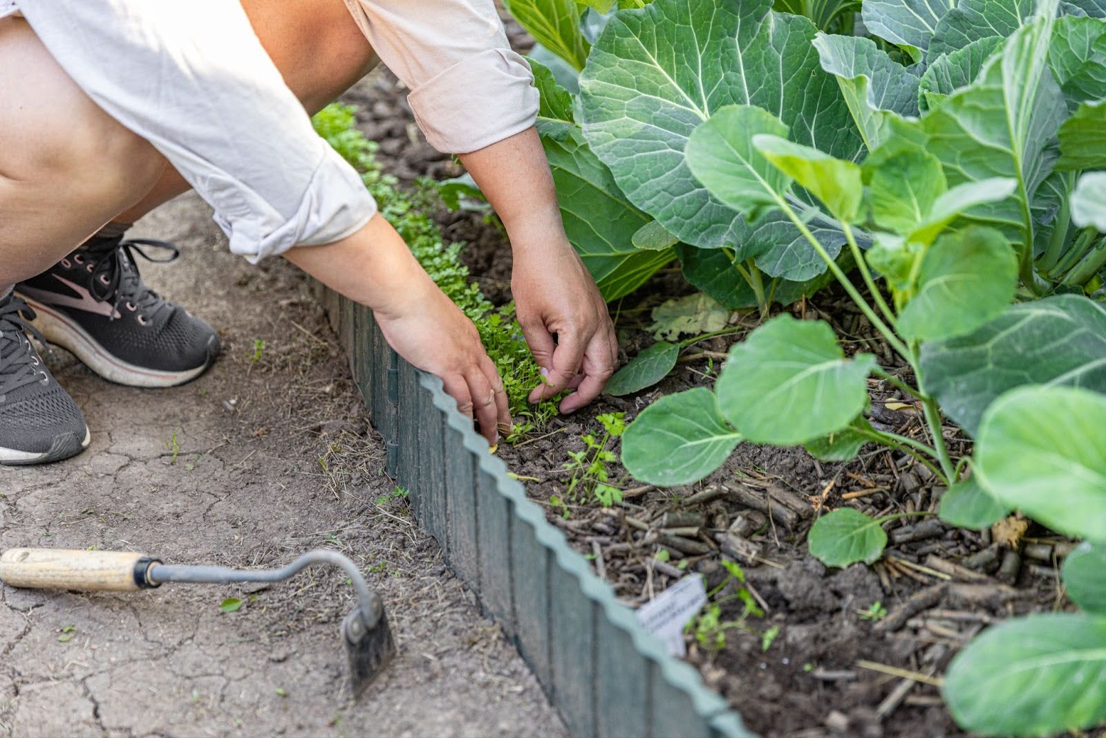 The Complete Guide to Timber Garden Edging for Australian Gardens ...