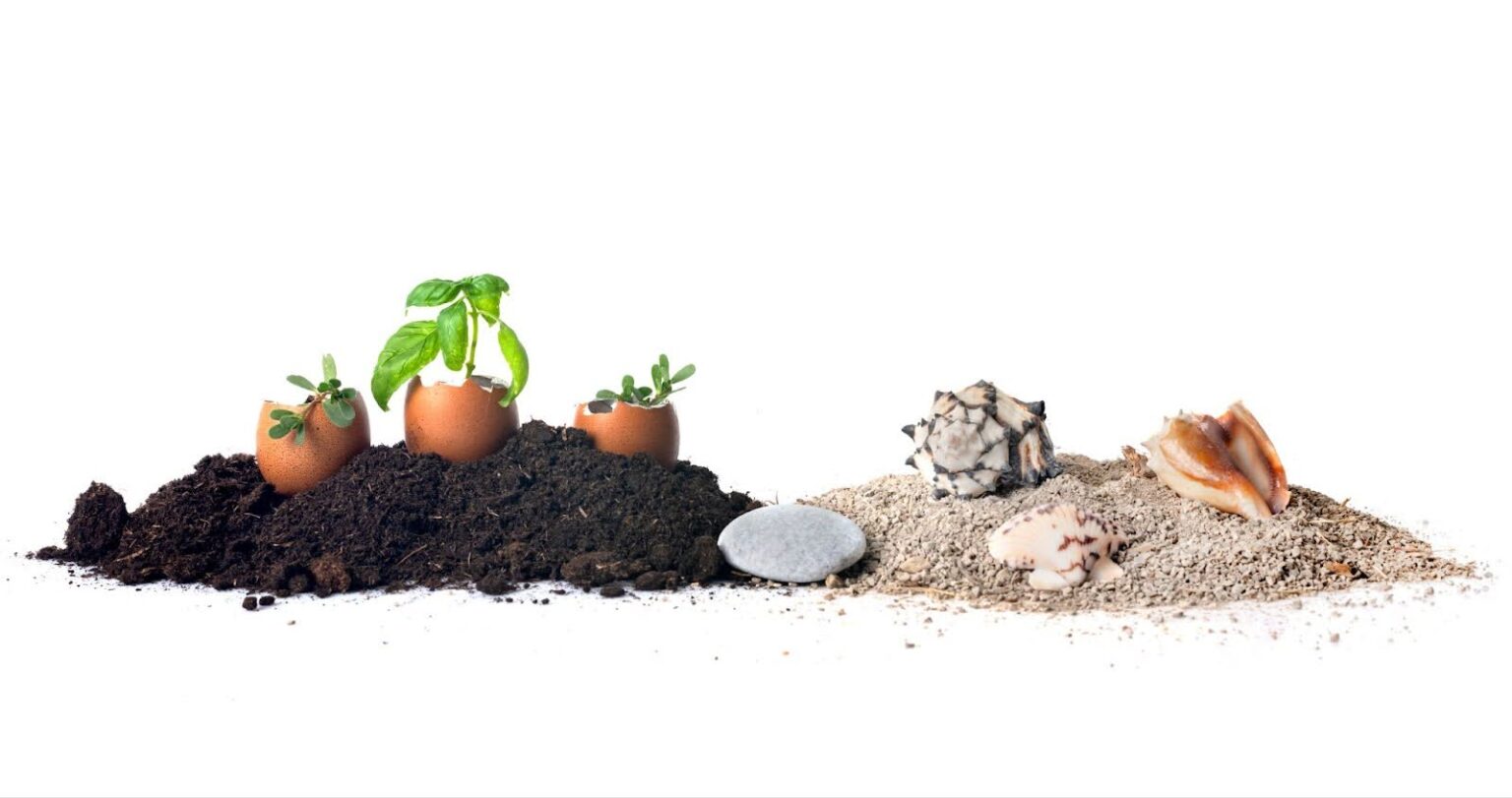 Different Types of Soil: The Ultimate Guide to Understanding Australia ...
